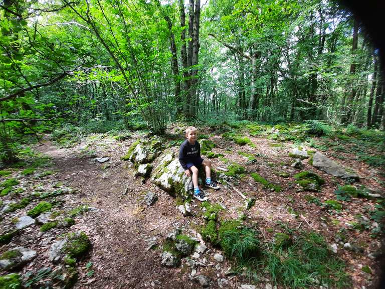 Grotte de Bomal Routes for Walking and Hiking | Komoot