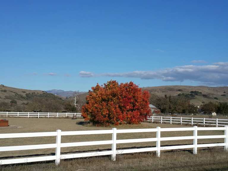 Calero Stausee – Chesbro Reservoir Runde von Vasona Junction | Rennrad ...