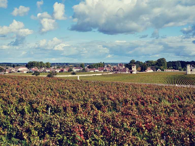 Château du Clos de Vougeot - Cycle Routes and Map | Komoot
