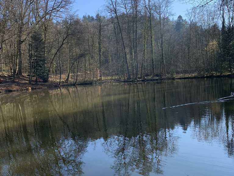 5 Waier: Wanderungen und Rundwege | komoot