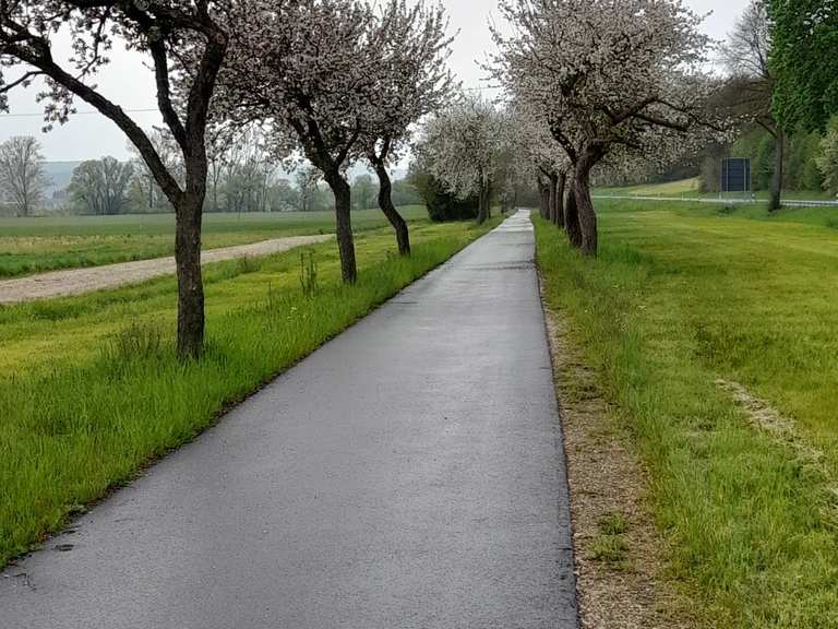 Blick auf den Main – Cycle Path Along the Itz Runde von Bamberg ...