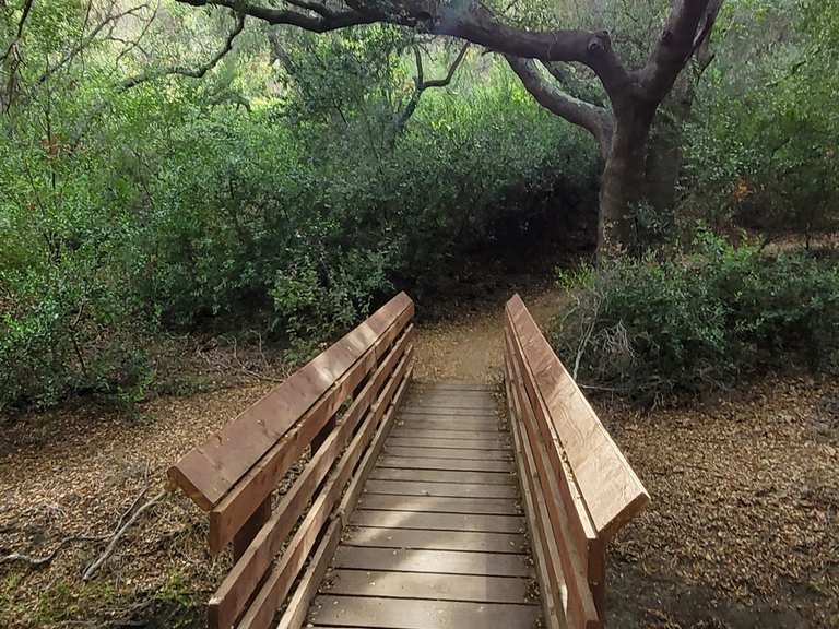 Car Wreck Trail loop via Wood Canyon Trail — Aliso and Wood Canyons ...
