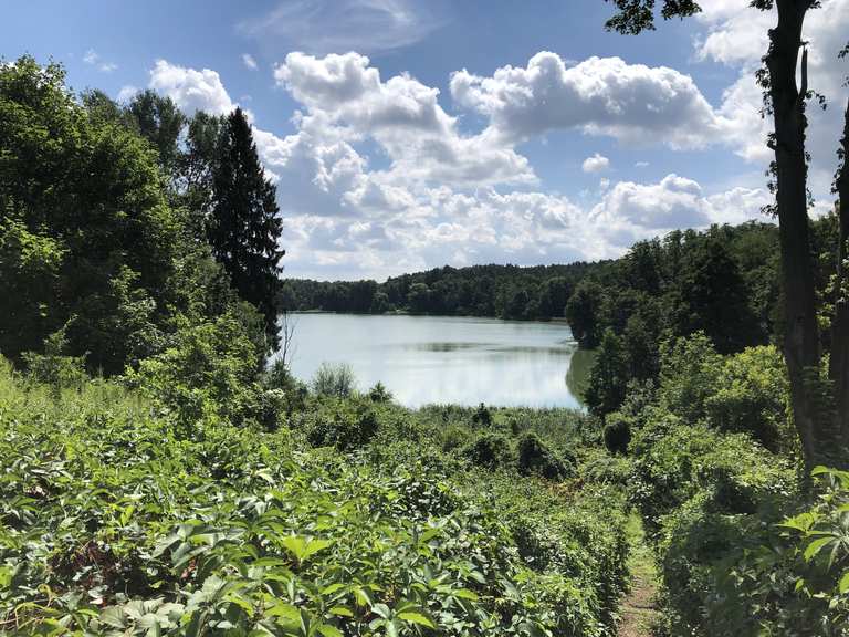 Buckowsee (Buckow) Routes for Walking and Hiking | Komoot
