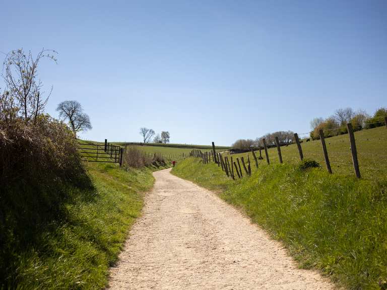 Keutenberg – the unpaved climb (18%) Cycle Routes and Map | Komoot