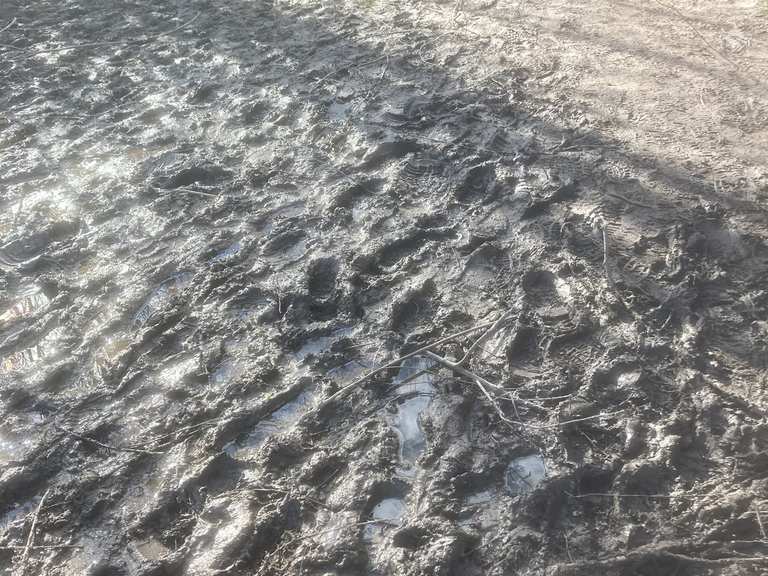 Jantjesplaat wandelroutes en hikes | Komoot