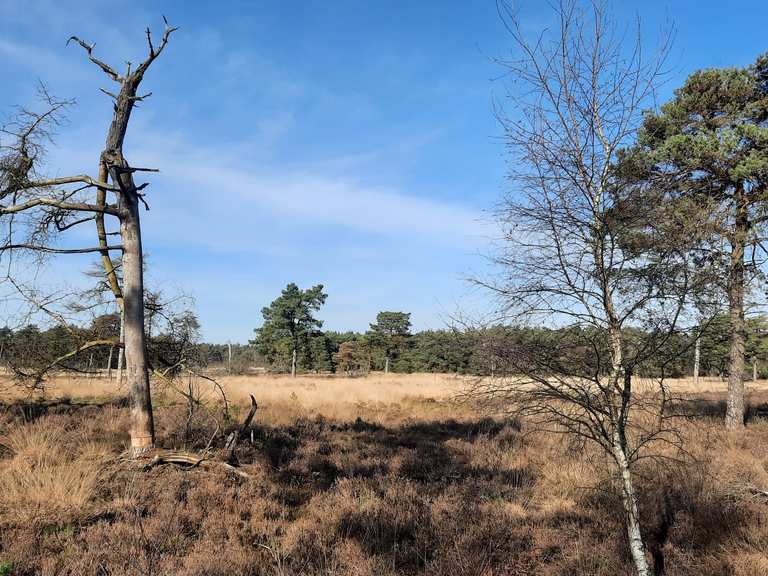 Open heide landschap wandelroutes en hikes | Komoot