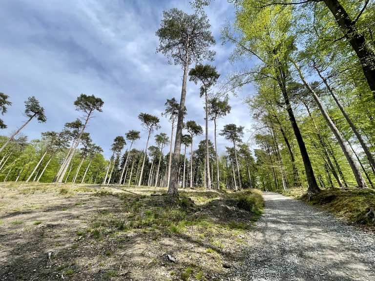 Vallei van de Vuilbeek – Rouge Cloître - Rood Klooster Rondje vanuit ...