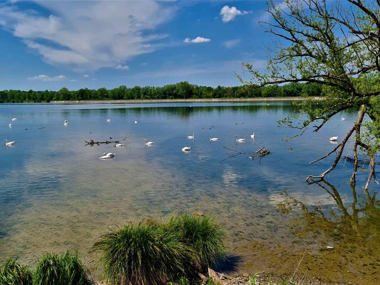 Vogelfreistätte Echinger Stausee - Cycle Routes and Map | Komoot