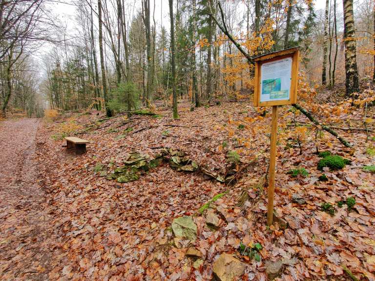 Oldest known "Roman bus stop" in the world Routes for Walking and ...
