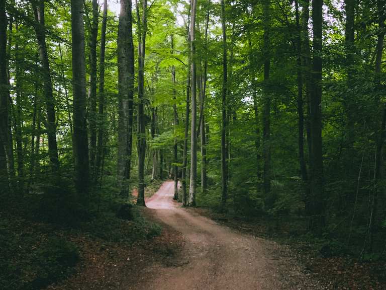 Know No Borders with fizik | Komoot