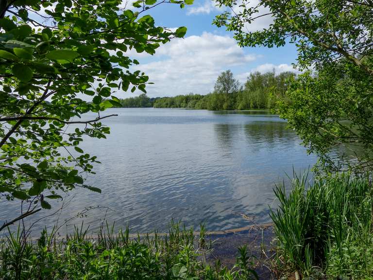 Whitlingham Lake – Whitlingham Great Broad loop from Norwich | hike ...