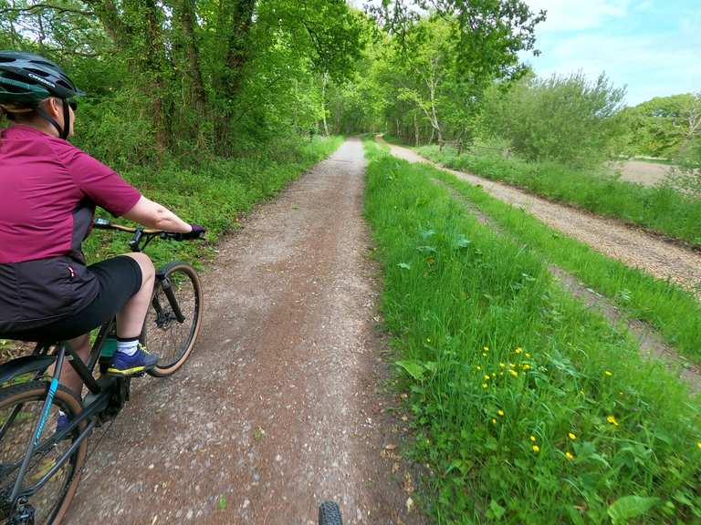 Castleman Trailway - excellent gravel track fom Ringwood - Cycle Routes ...