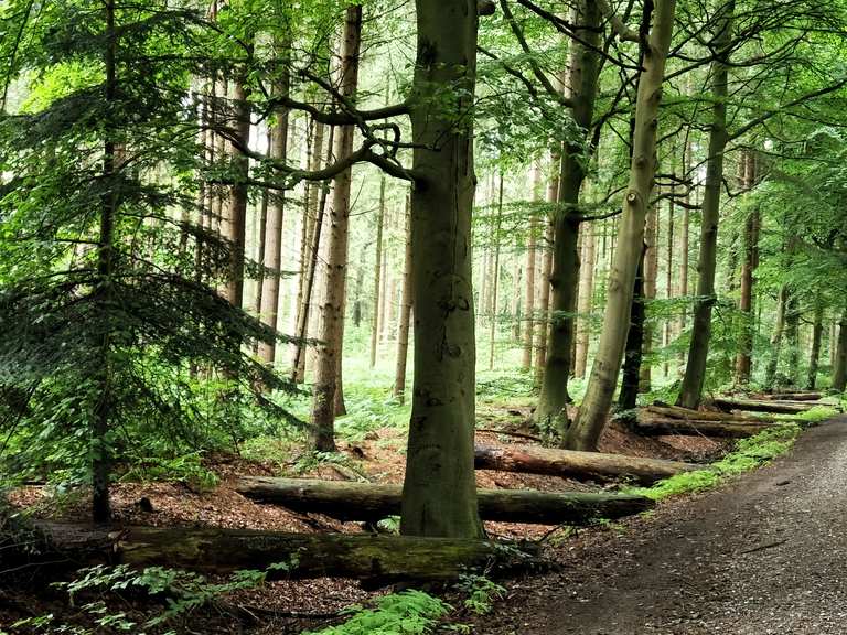 Forst Upjever - Cycle Routes and Map | Komoot
