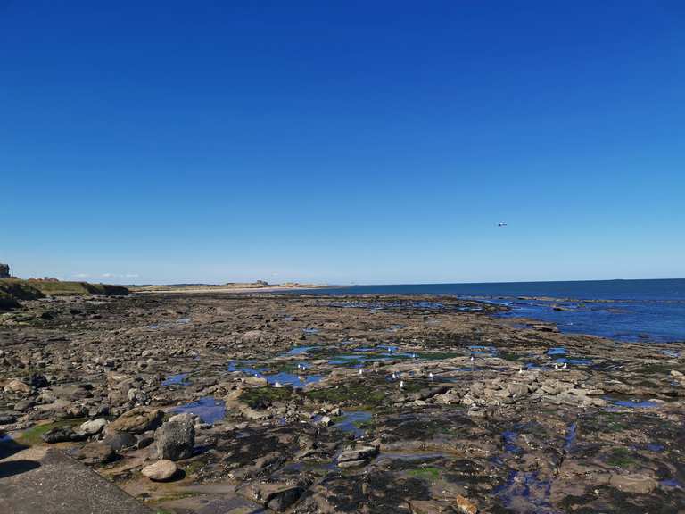 Seahouses Harbour and Beach Routes for Walking and Hiking | Komoot