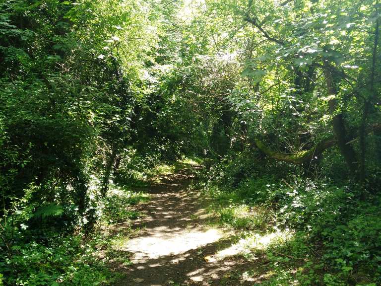 Nore Valley Walk – Kilkenny to Bennetsbridge Section – Wandern an ...