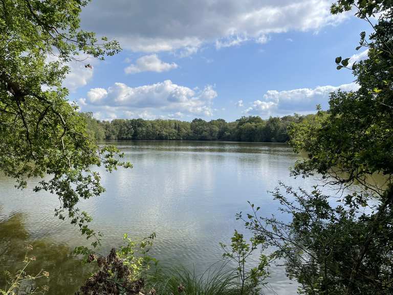 Puttenham Common to Crooksbury Hill loop — Surrey Hills | hike | Komoot