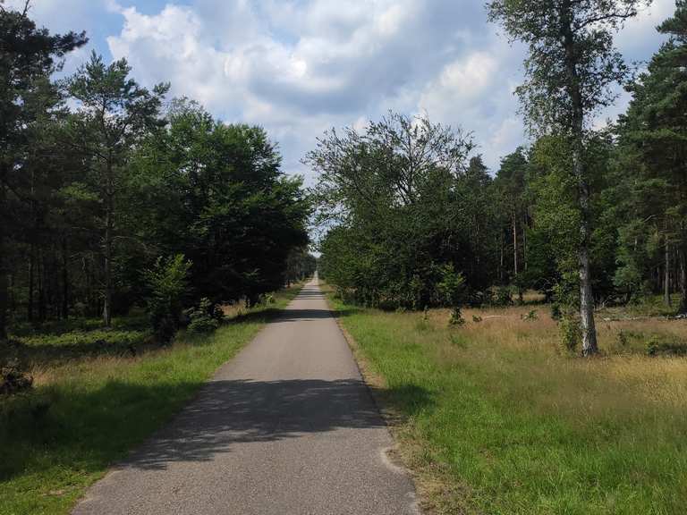 Gortelsche Heide / Berg – Heide bij Vierhouten Rondje vanuit Nunspeet ...