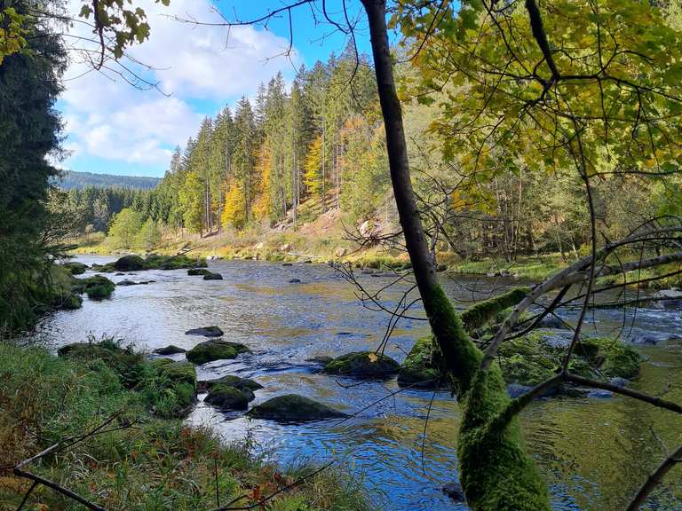 Blick auf den Schwarzen Regen – Wilder Fluss Runde von Sohl | Wanderung ...