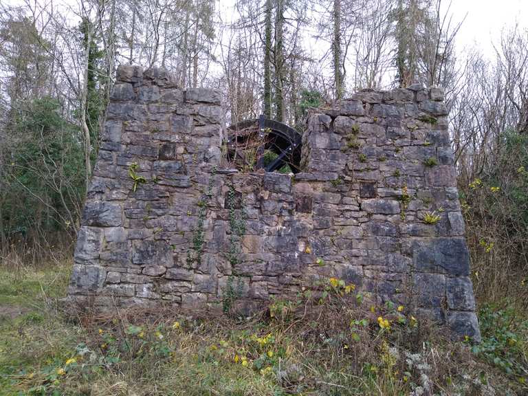 Llanymynech Rocks Nature Reserve Routes for Walking and Hiking | Komoot