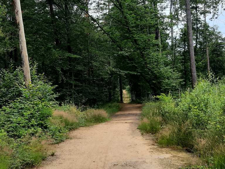 Paden Hertberg – Rode Vis Rondje vanuit Bergom | wandeling | Komoot