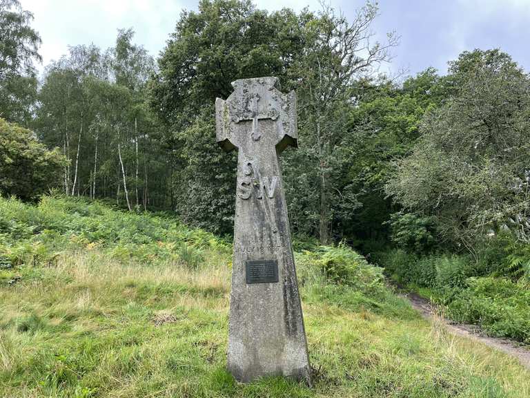 La boucle North Downs Way, Ranmore Common, Abinger Roughs & Denbies ...