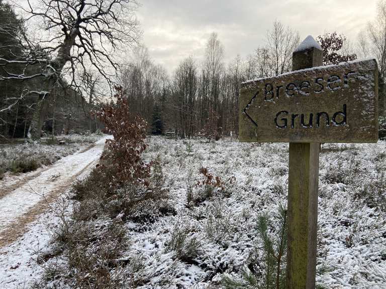 Breeser Grund - Routes for Walking and Hiking | Komoot