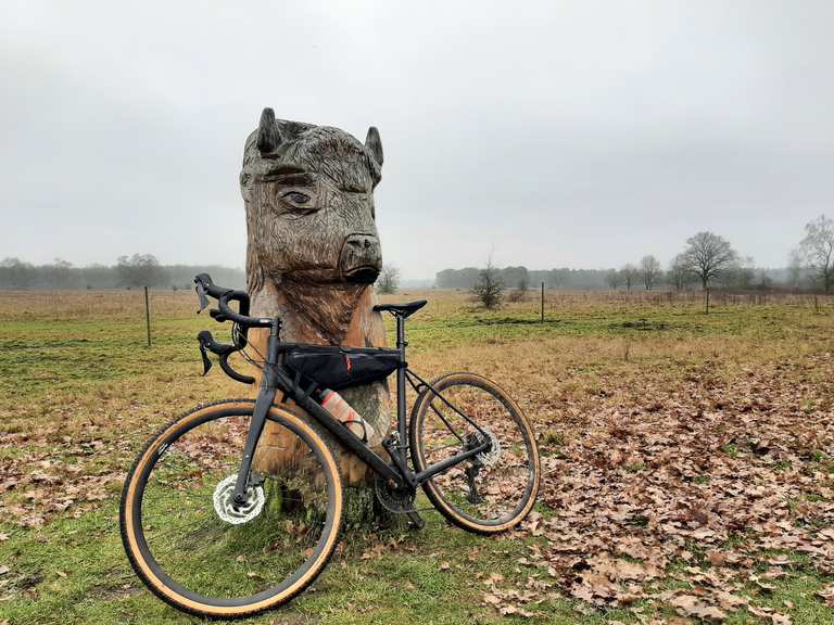 Slingerpad – Maashorst heide Rondje vanuit 't Ven | fietstocht | Komoot