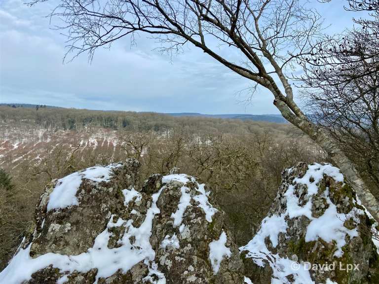 La forêt domaniale d'Écouves et les rocher du Vignage — boucle depuis ...