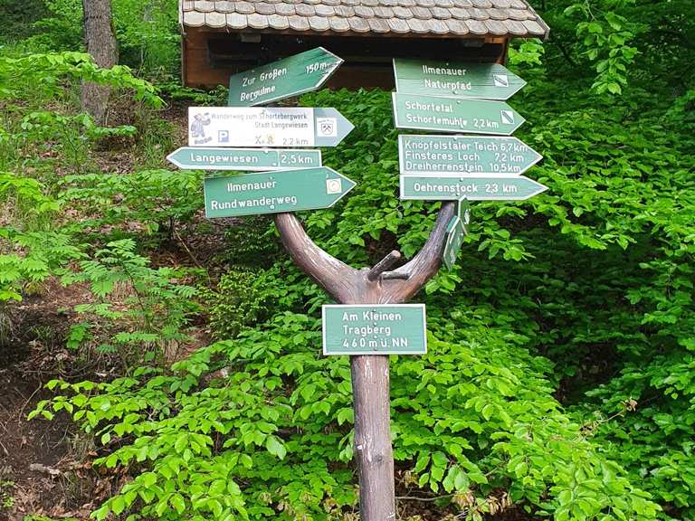 On the Ilm cycle path - Cycle Routes and Map | Komoot
