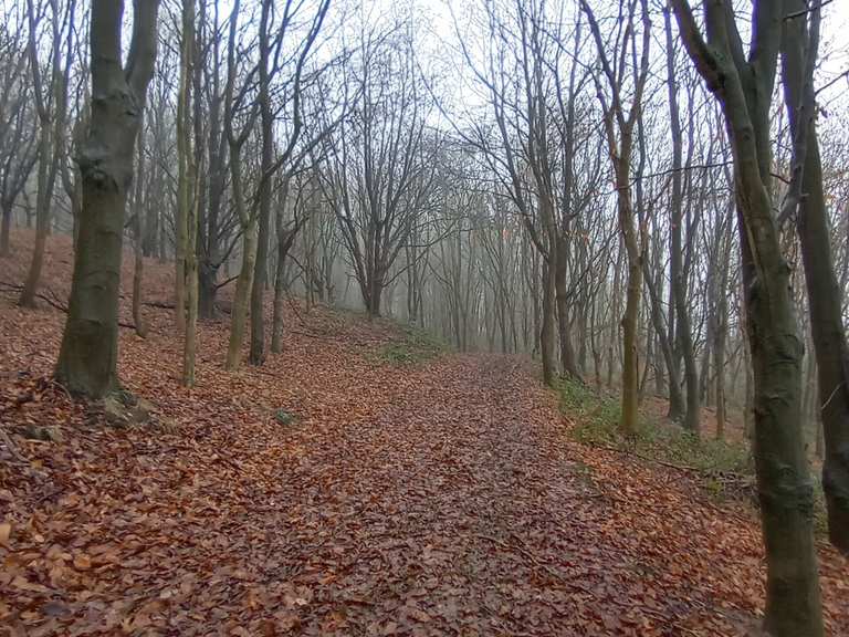 Burrough Hill Iron Age Fort to Burton Lazars loop | hike | Komoot