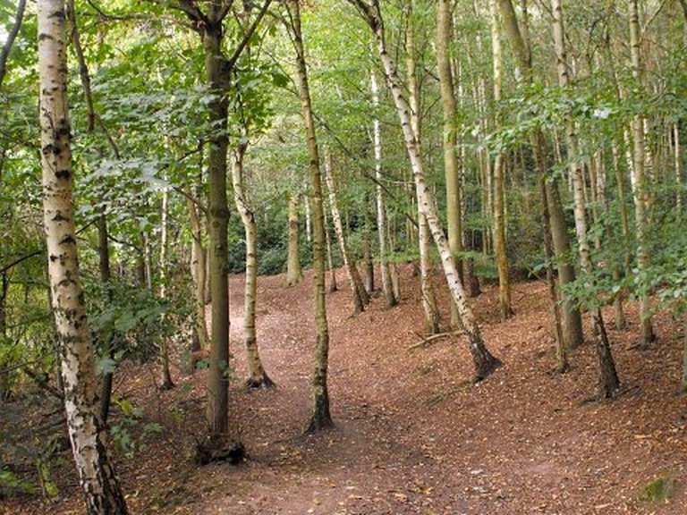 Nesscliffe Hill Fort Routes for Walking and Hiking | Komoot