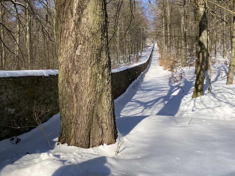 Die Mauer des Sauparks – Klippen im Saupark Runde von Springe ...