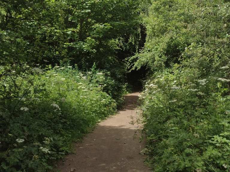 Linby Bike Trail - pristine gravel Cycle Routes and Map | Komoot