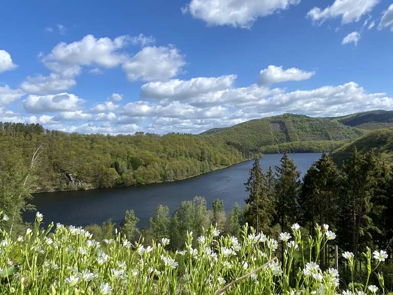 Rundweg um den Rursee Obersee – wandern in der Eifel