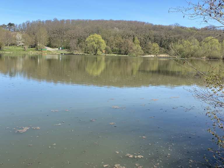 Wendebachstausee - Badesee: MTB-routes en trails | Komoot