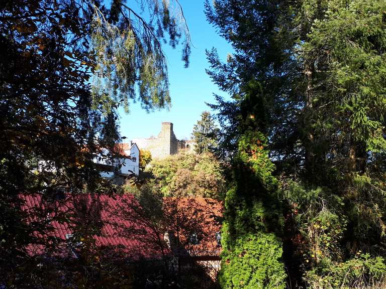 Burgruine Wallrabenstein: Mountainbike-Touren und -Trails | komoot