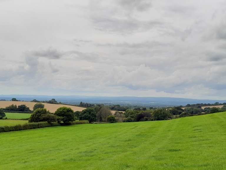 Maiden Castle & Bickerton Hill loop | hike | Komoot