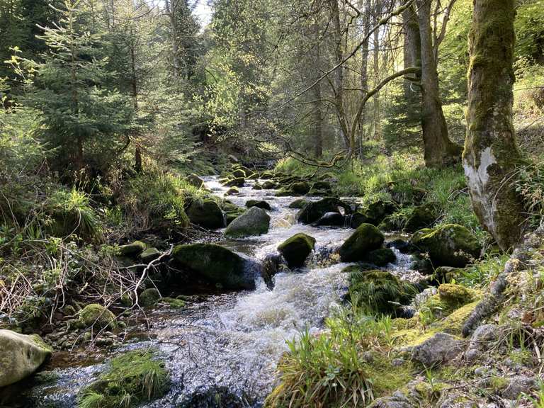Kesselbach: Wanderungen und Rundwege | komoot