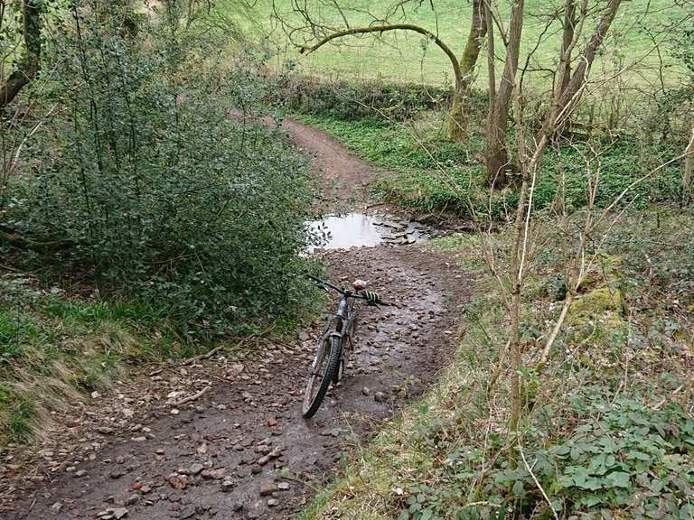 Shillito Woods Trail – Cartledge Bridleway loop from Cutthorpe ...