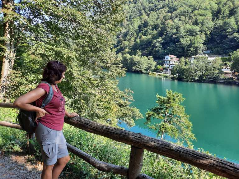 Vista sul lago di Levico – Scorcio del lago di Levico giro ad anello ...