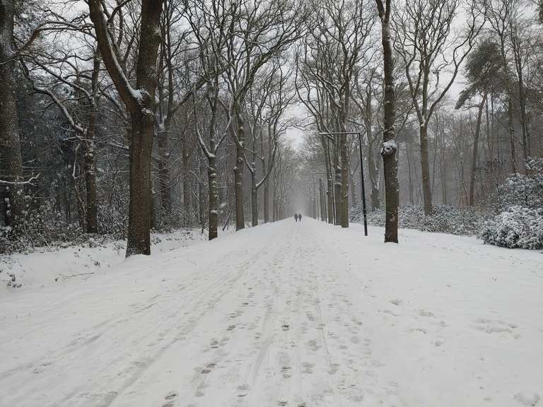 Breed fietspad over een autovrije weg - fietsroutes en kaart | Komoot