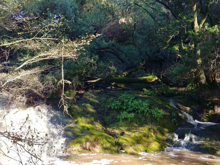 Lake Anza & Wildcat Gorge Trail loop from Claremont — Tilden Regional ...