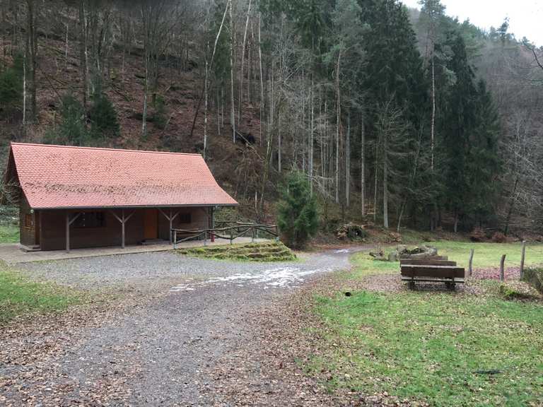 Rinnthal: Tal der Generationen: Wanderungen und Rundwege | komoot