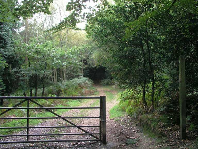 Bedham Old Church Routes for Walking and Hiking | Komoot