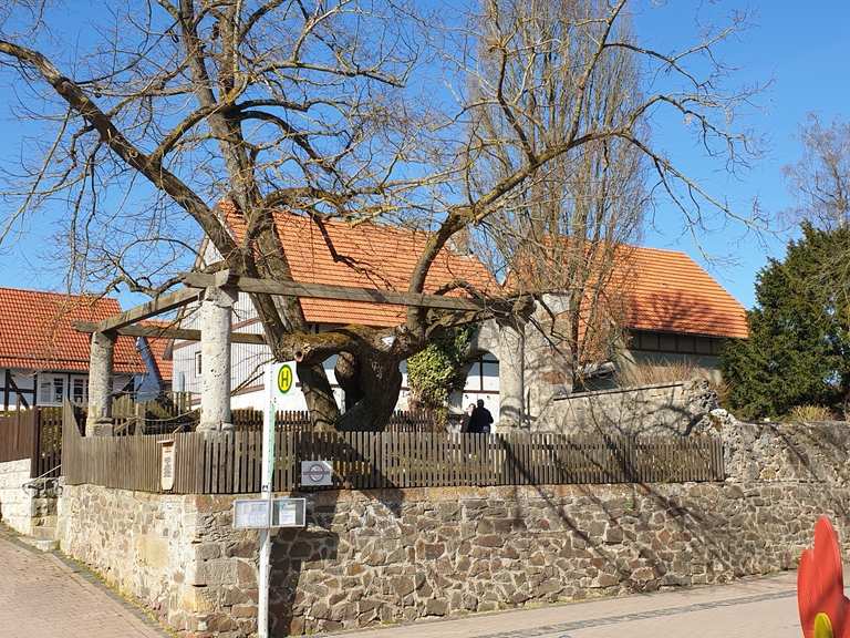 Kirche Basdorf : Radtouren und Radwege | komoot