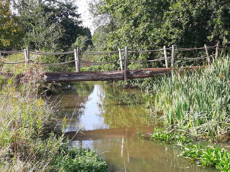 wandelen langs de Grote Nete: Wanderungen und Rundwege | komoot