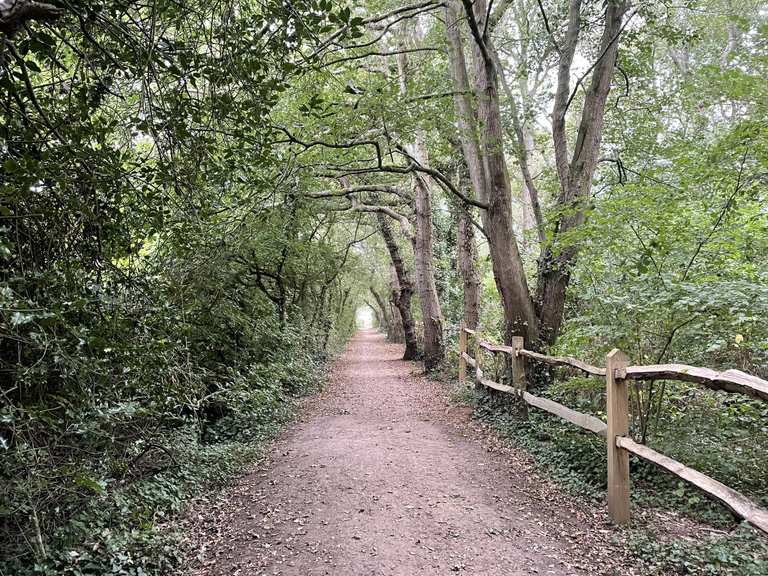 Salterns Way off-road cycle path Cycle Routes and Map | Komoot