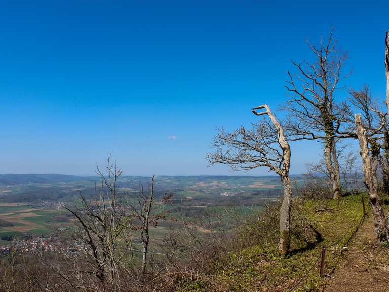 Hohenstoffeln‑Gipfel – Wander- & Radrouten | Komoot