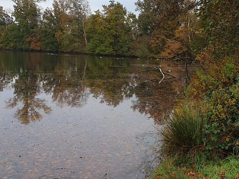 Gravelstrook met mooi meertje fietsroutes en kaart | Komoot