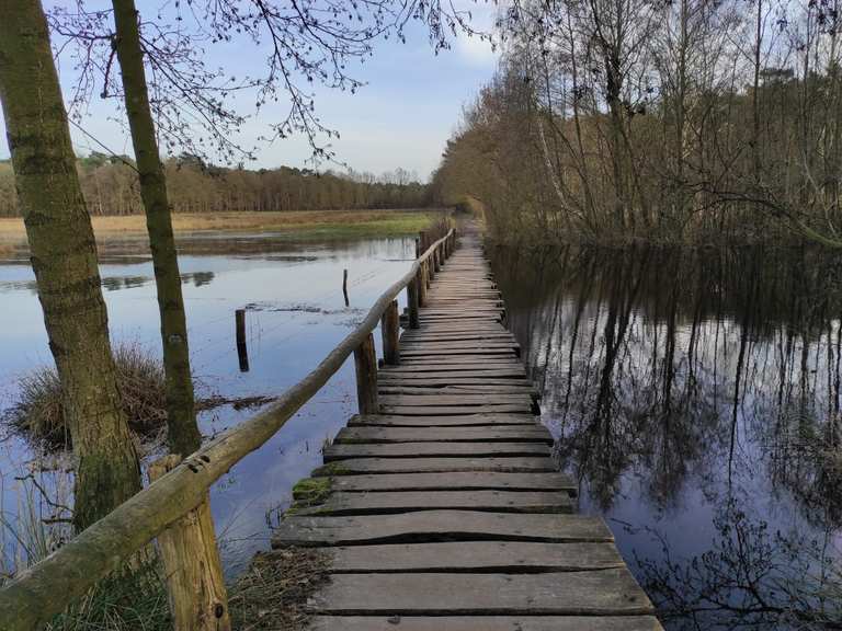 Natuurgebied Pannenhoef wandelroutes en hikes | Komoot